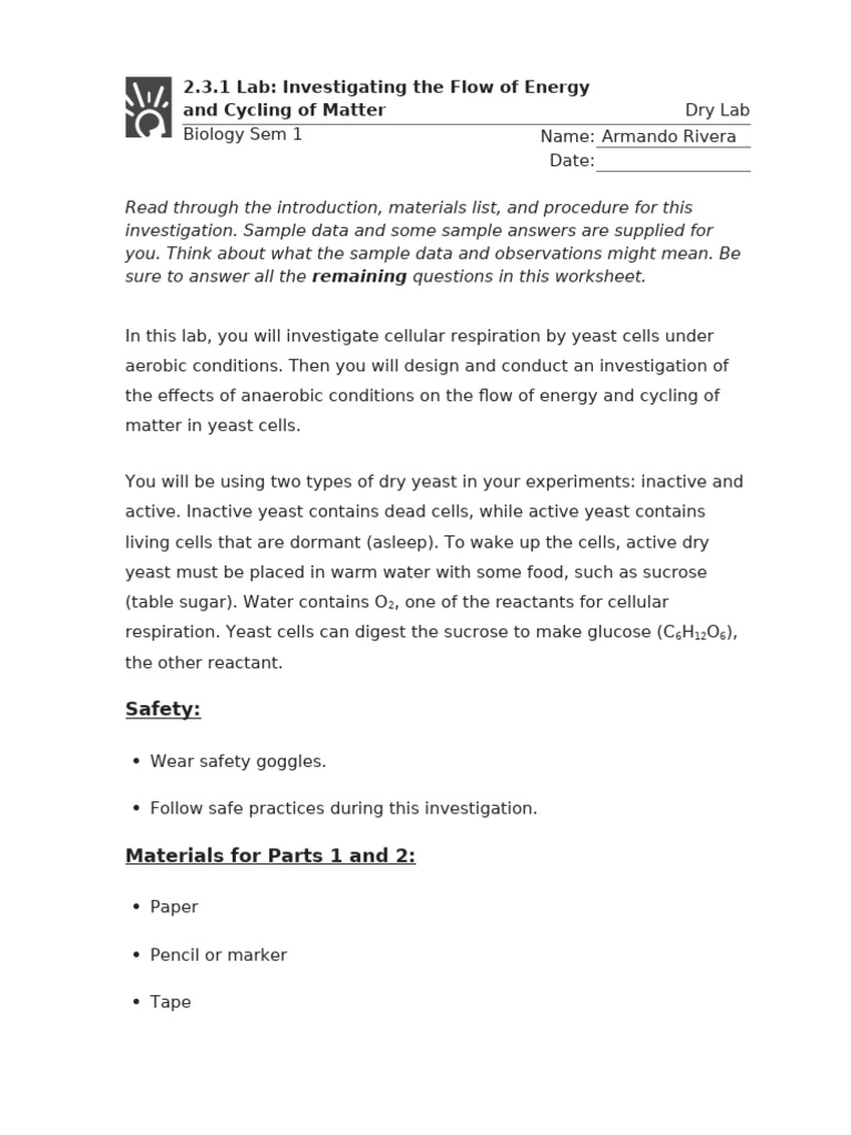 2.3.1 Lab - Investigating The Flow of Energy and Cycling of Matter (Dry ...