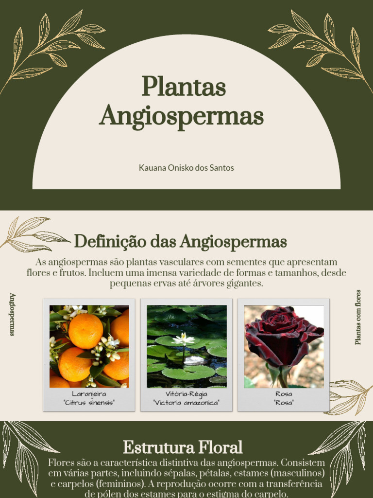 Angiospermas | PDF | Botánica | Hogar, jardinería y bricolaje