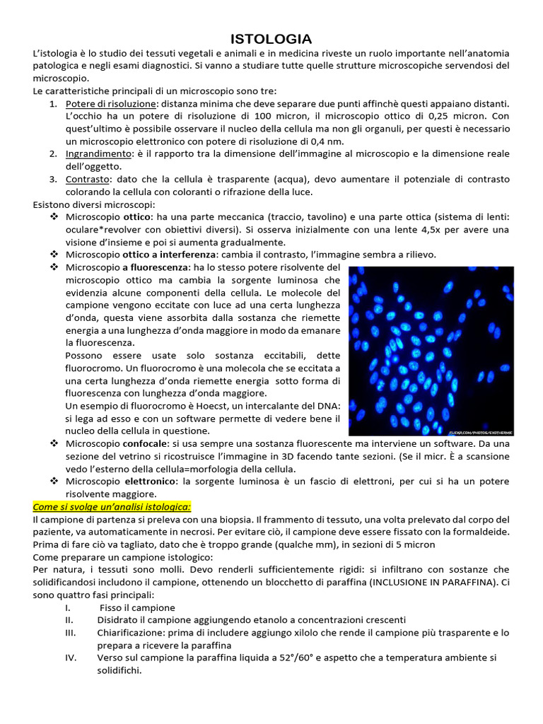 Istologia 2 | PDF