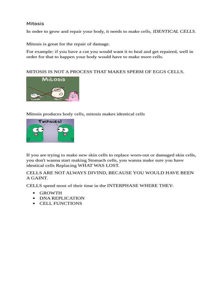 Mitosis: Cell Growth and Repair | PDF | Wellness | Science & Mathematics