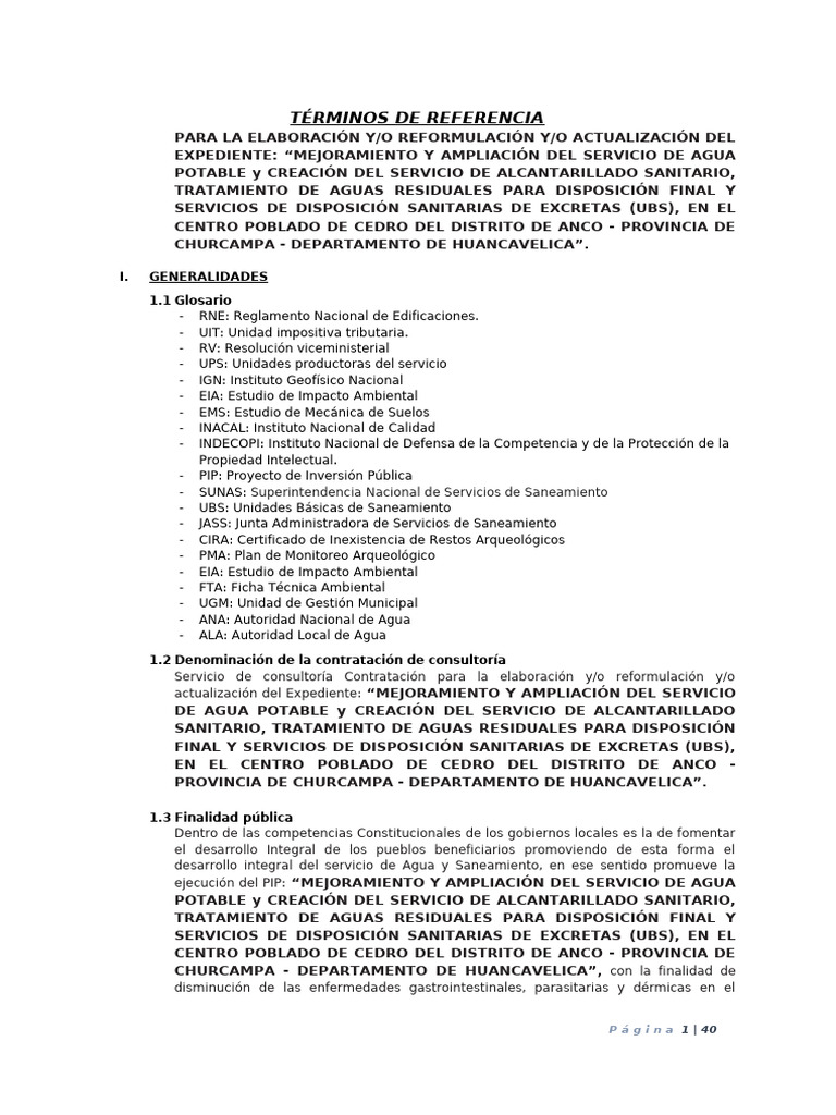 TDR Exp. Tec. - Cedro 2024 | PDF