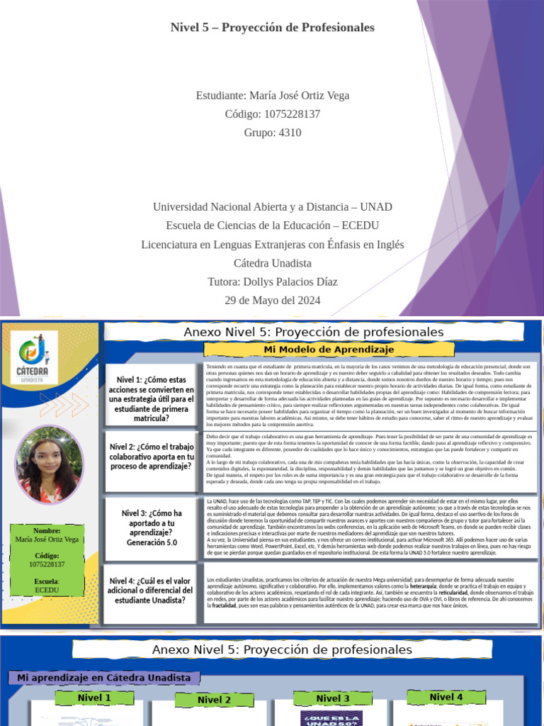 Anexo 5 - Nivel 5 Modelo de Aprendizaje - Maria Ortiz - #4310 | PDF