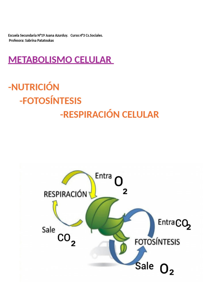 Metabolismo Celular | PDF | Metabolismo | Ciencia y matemáticas