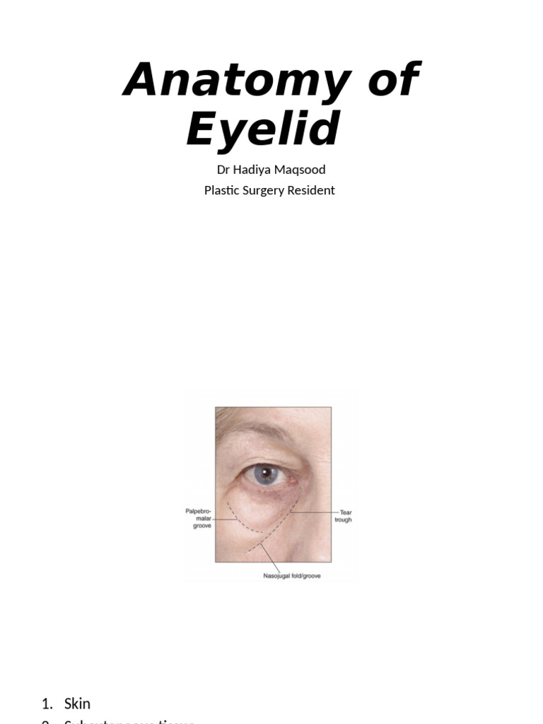 Anatomy of Eyelid | PDF