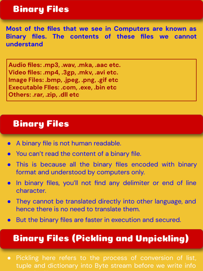 Binary Files | PDF
