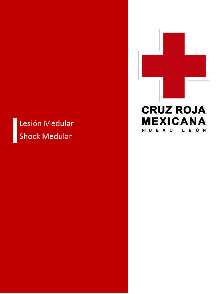 Protocolo Shock Medular | PDF