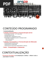 Escalas de Dor Lanns e Eva | PDF | Dor | Sentidos