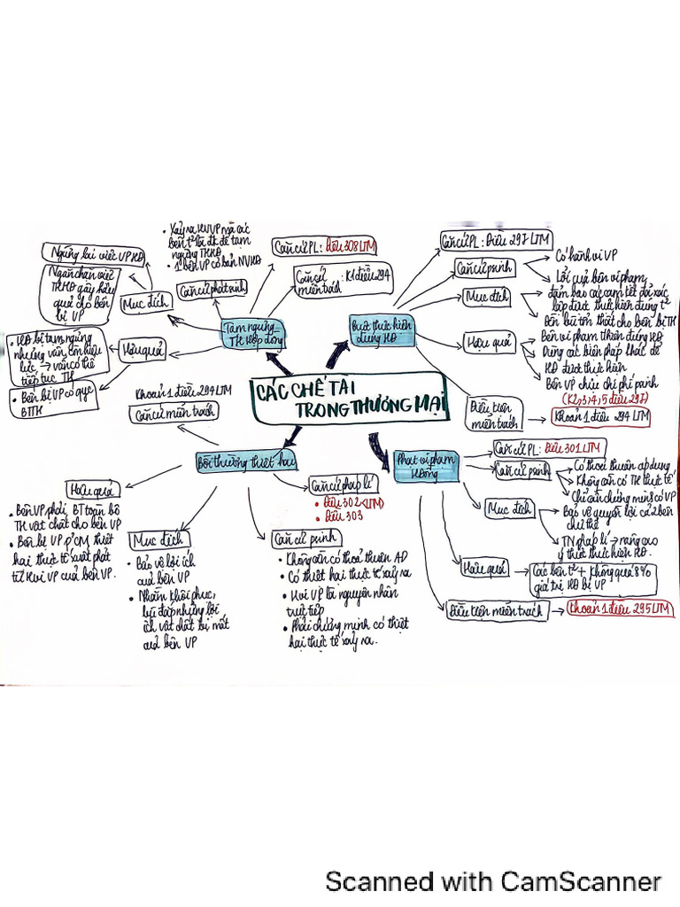 Nhóm 1 LTM CHẾ TÀI TRONG THƯƠNG MẠI | PDF