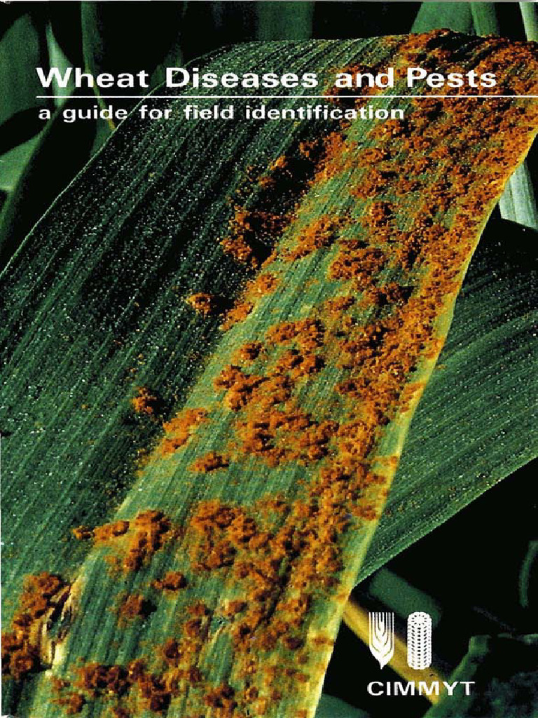 Wheat Diseases And Pests A Guide For Field Identification Pdf