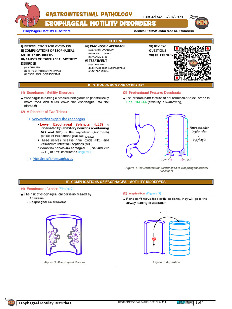 11030110 Gastrointestinal Pathology 011 Esophageal Motility Disorders | PDF