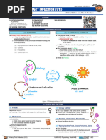 UTI Pathophysiology Flowchart | PDF