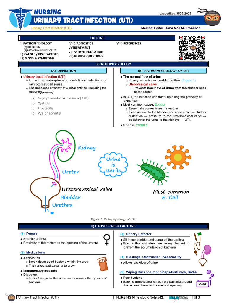 Nursing Pathology 042 Urinary Tract Infection UTI NCLEX | PDF | Urinary ...