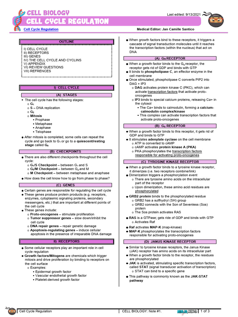 Cell Cycle Regulation | PDF | Cell Cycle | Kinase