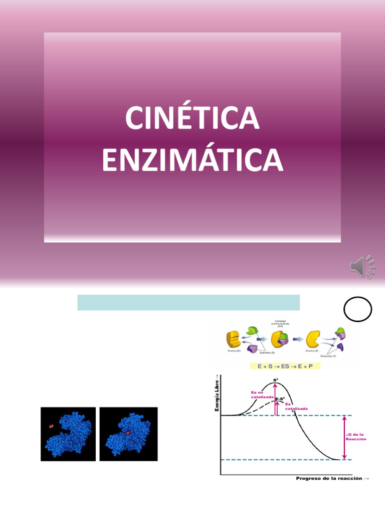 TP4 Presentación 4.2 - Cinética Enzimática | PDF