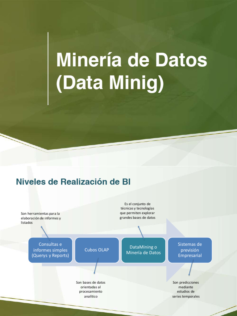 Minería de Datos (Data Mining) | PDF