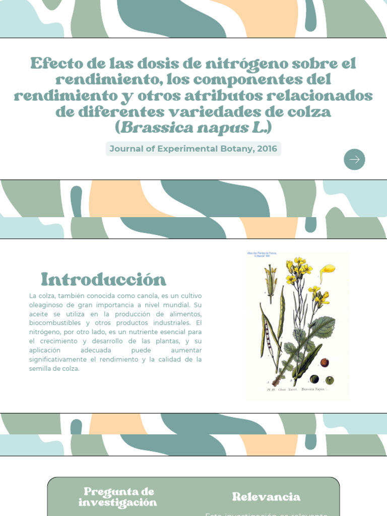 Exposición Final | PDF