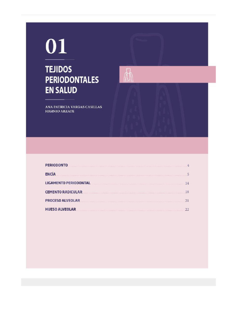 II Capitulo 1 Anatomia Tejidos Periodontales | PDF