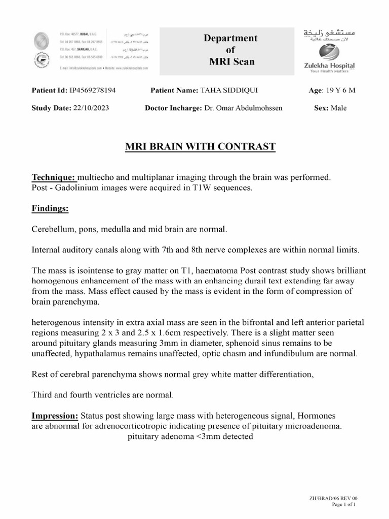 Taha Siddiqui Report | PDF