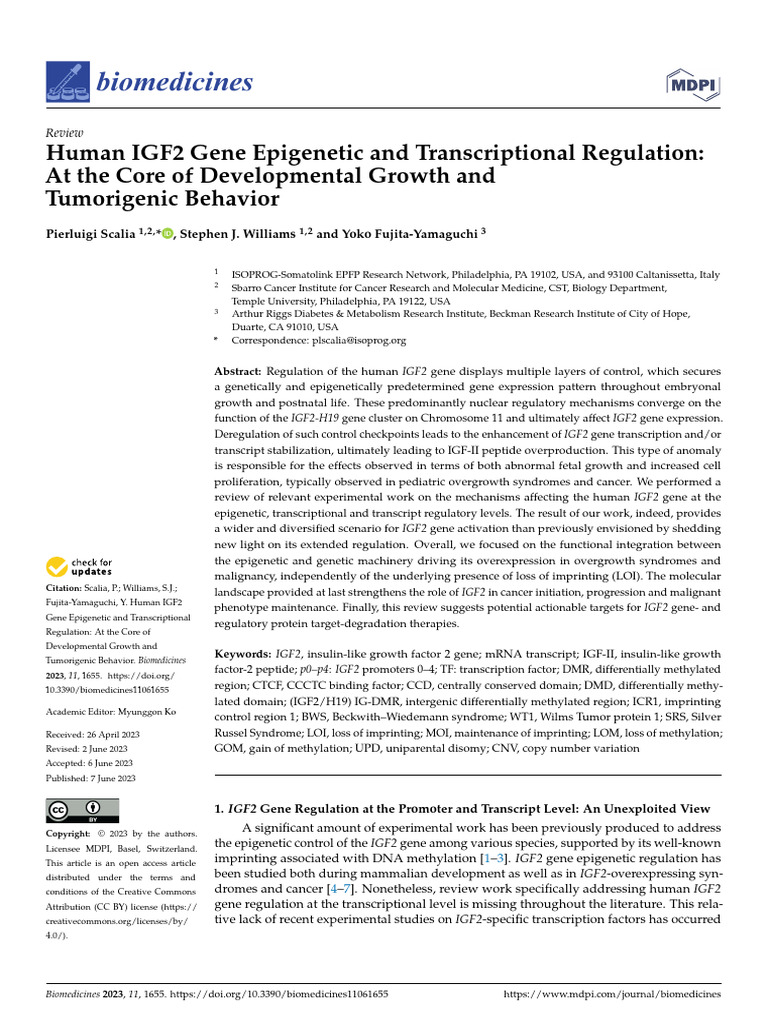 Human IGF2 Gene Epigenetics | PDF
