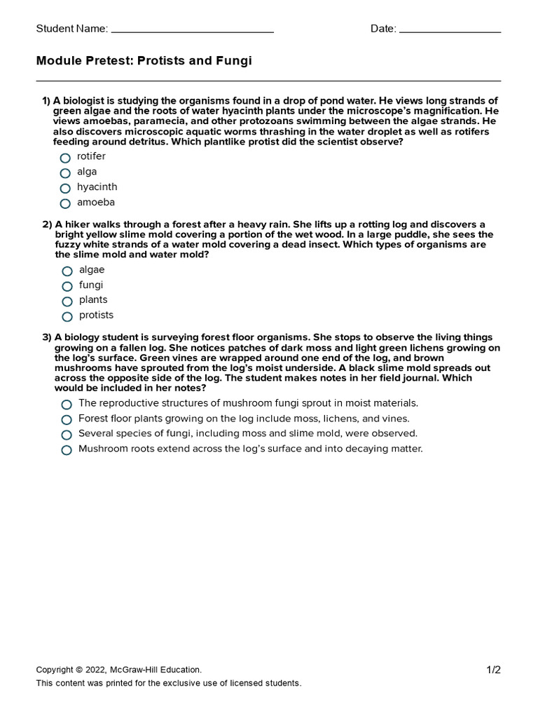 Print Assessment | PDF