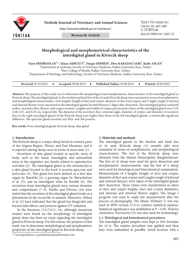 Kivircik Sheep Interdigital Gland Study | PDF | Skin | Sheep
