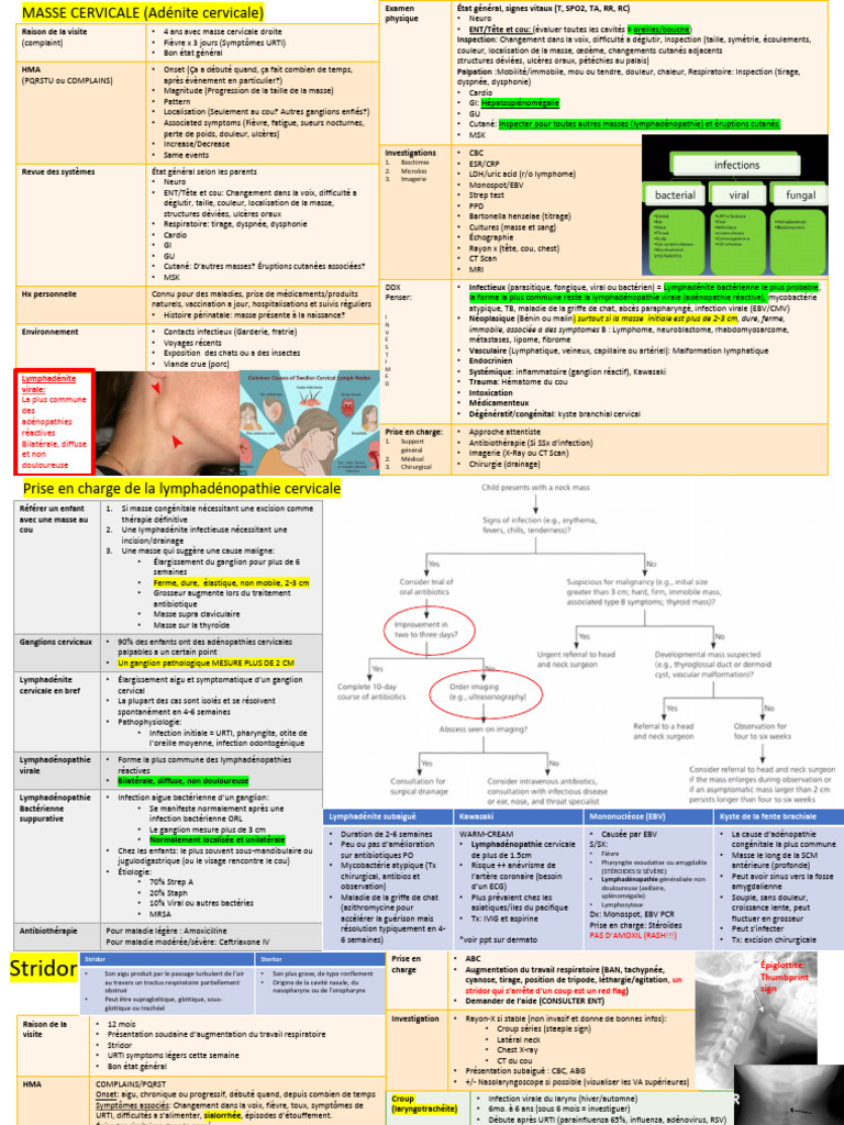 Infections ORL | PDF