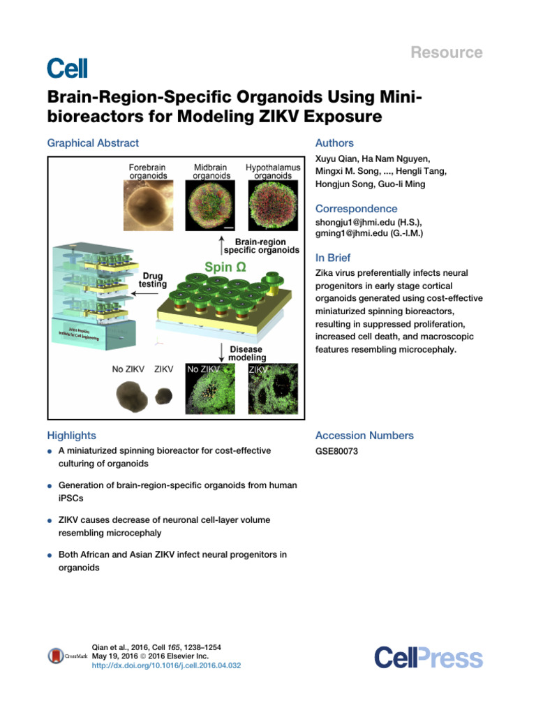2016 - Qian - Brain Organoids Using 3d Printed Mini-Bioreactors | PDF