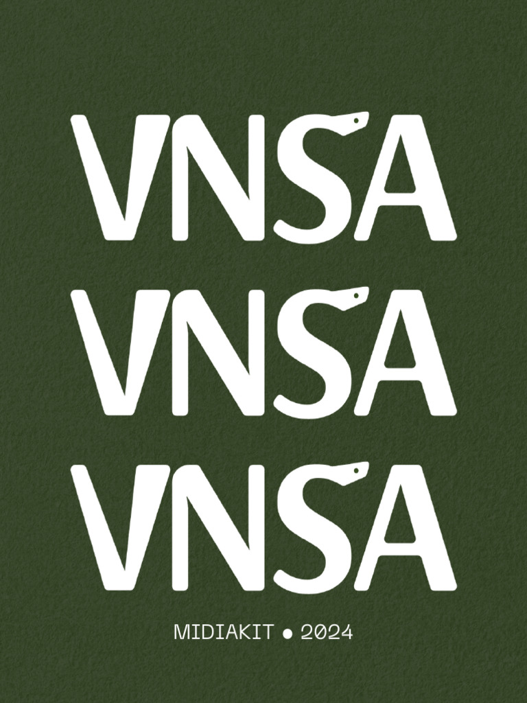 Vnsa - Midiakit2024 | PDF