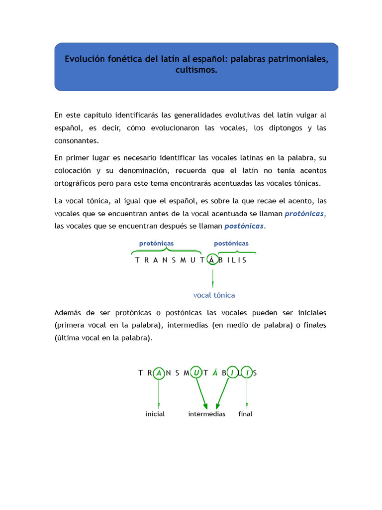 Evolución Del Latín Al Español | PDF