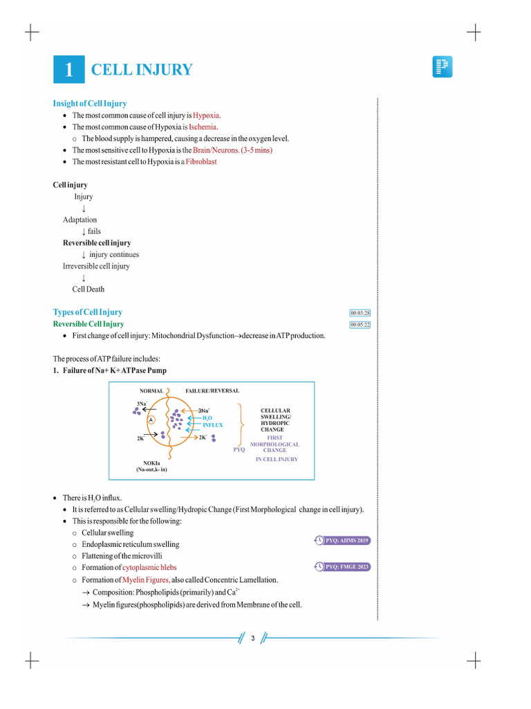Patho 6.0 [Medicalstudyzone.com] | PDF