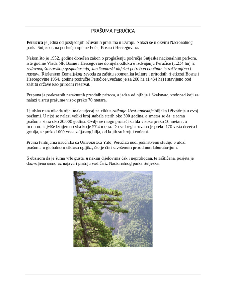 Perucica | PDF