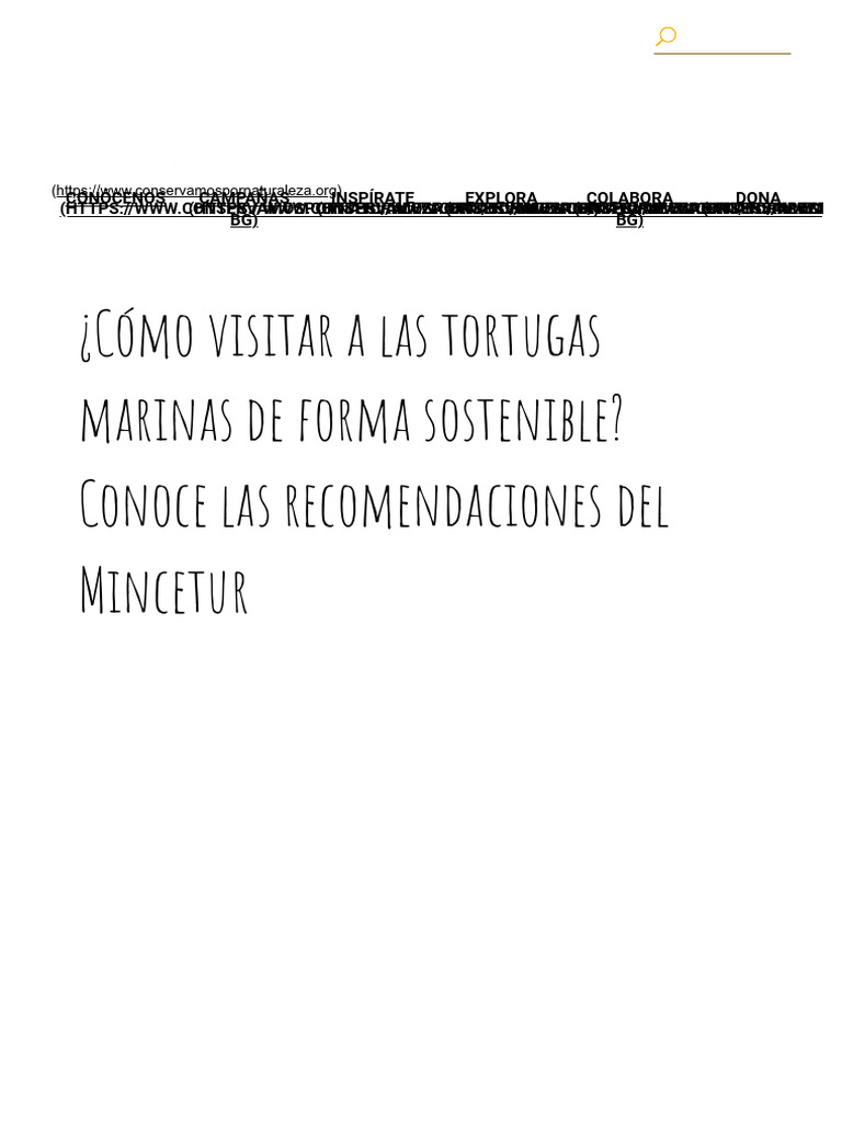 Cómo Visitar A Las Tortugas Marinas de Forma Sostenible | PDF