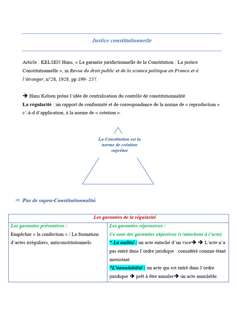 Justice Constitutionnelle | PDF