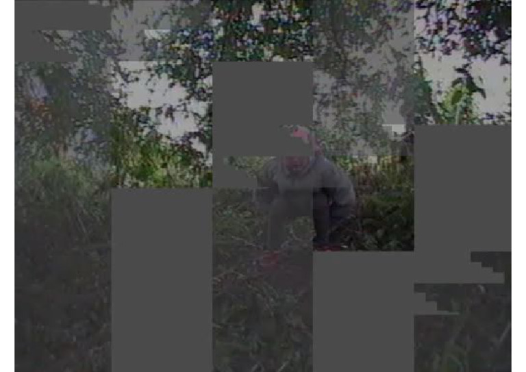 My Journy Parrt 4 | PDF