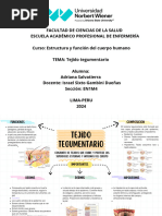 Funciones de los corpúsculos de la piel | PDF