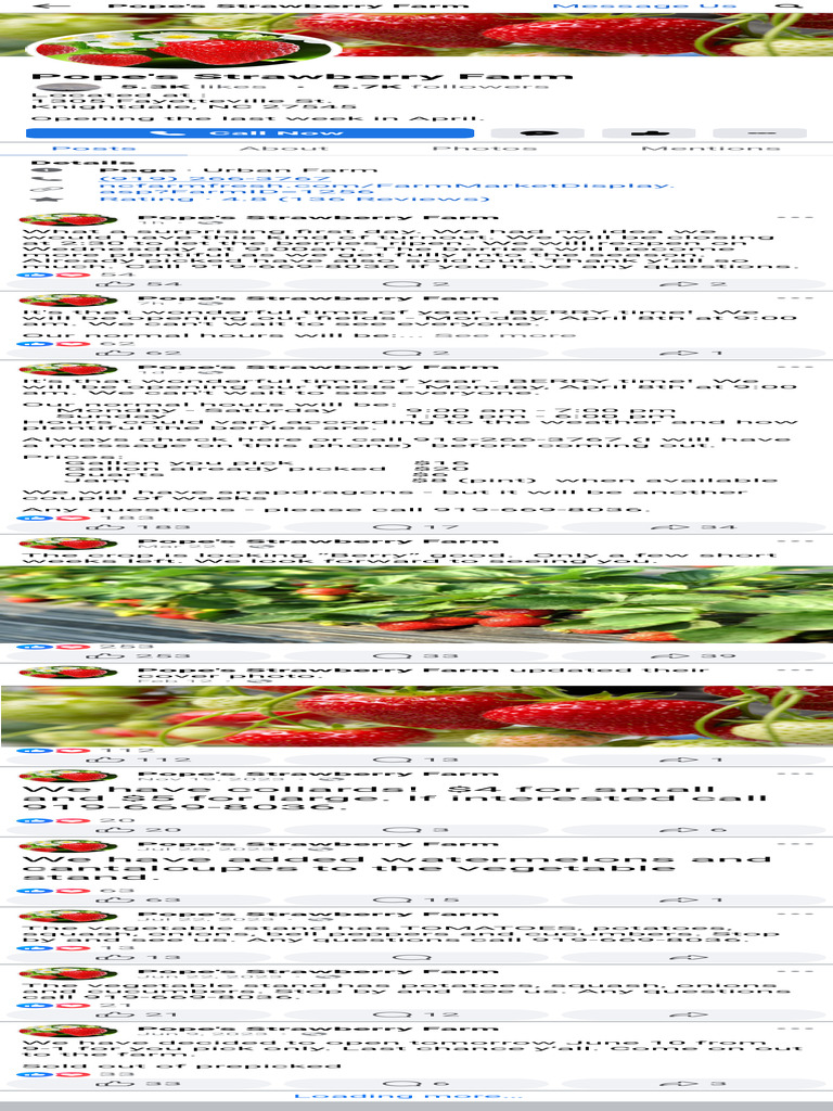 Pope's Strawberry Farm | PDF