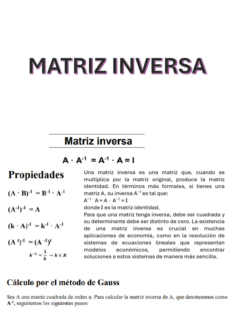 Matriz Inversa PDF | PDF