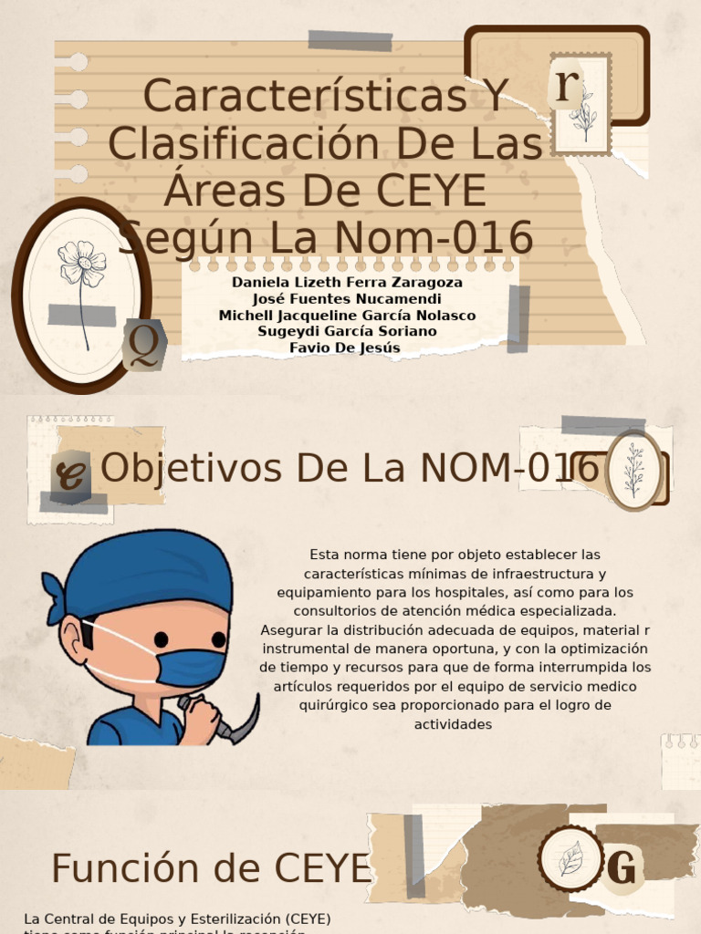 Caracteristicas y Clasificacion de Las Areas de Ceye | PDF