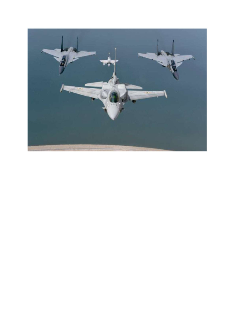 F 16 | PDF