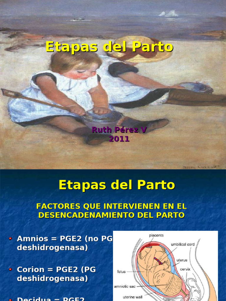 Etapas Del Parto | PDF | Parto | Útero