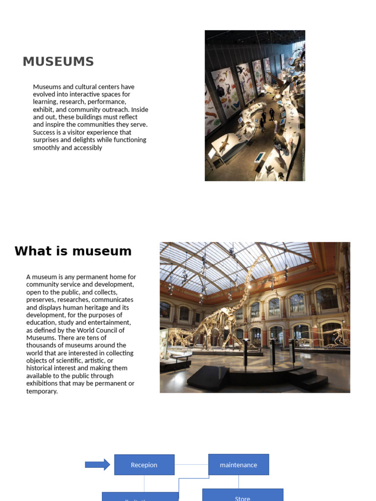 museum | PDF