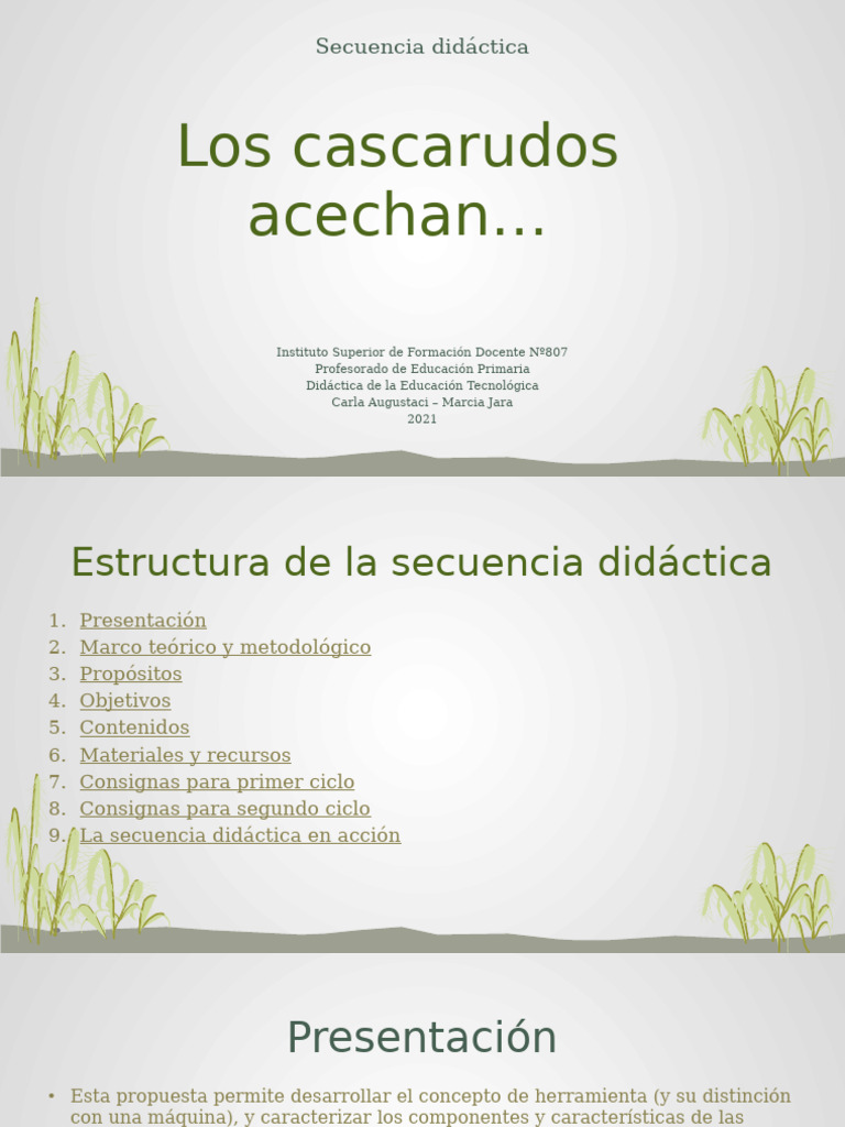 Secuencia Didactica-Los Cascarudos Acechan | PDF
