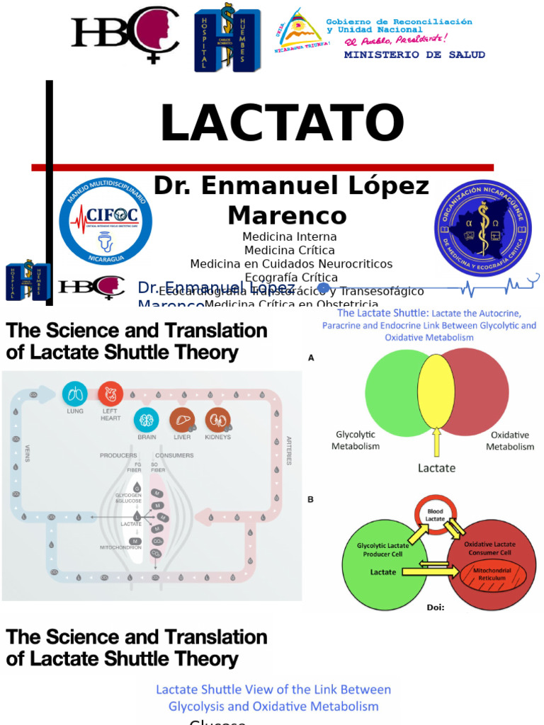 LACTATO | PDF