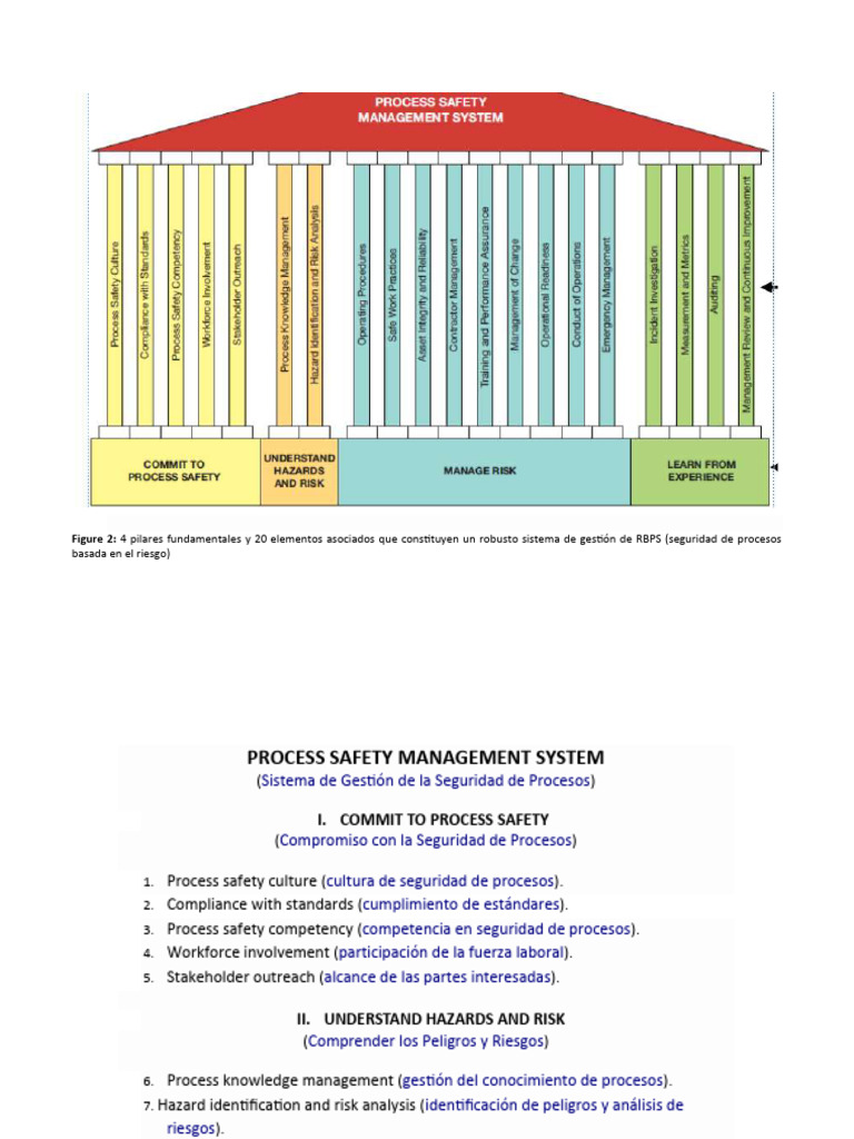 4 Pilares y 20 Elementos de Un Robusto Sistema de Gestión de RBPS | PDF