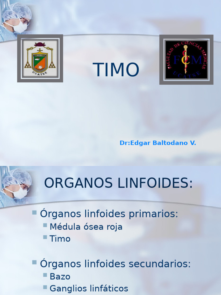 22 TIMO | PDF