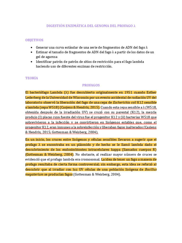 S5 - Guía - Inducción Del Profago y Digestión Enzimática | PDF