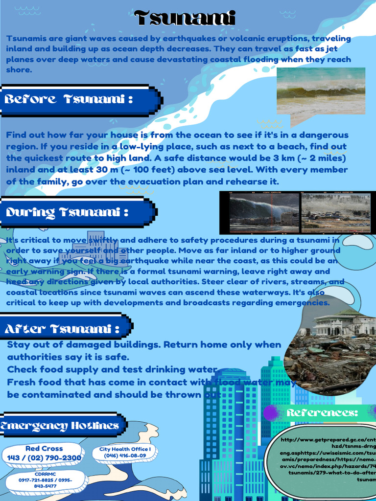 Essential Tsunami Safety Guidelines | PDF