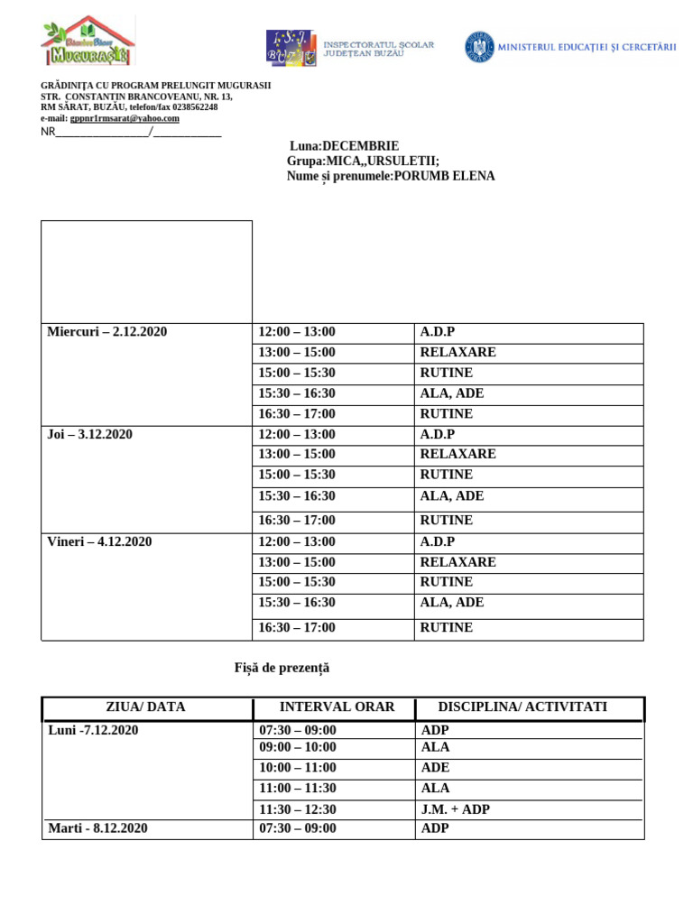 Fdecembrie Fisa Prezenta - Copie | PDF