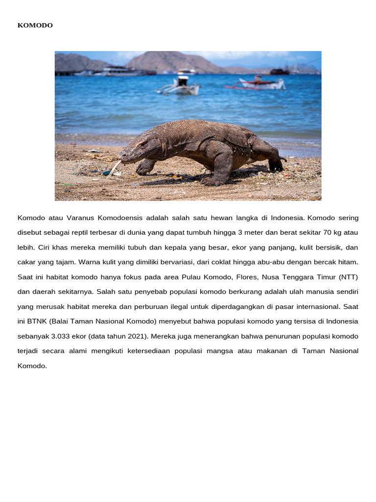 KOMODO | PDF