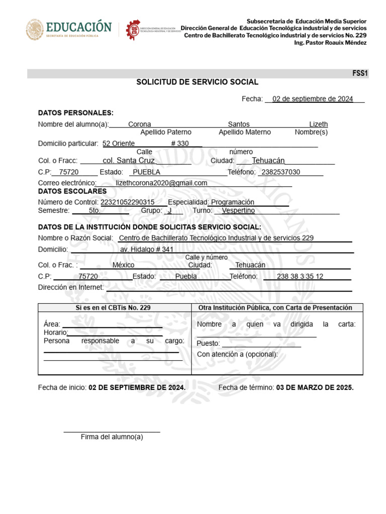 Formatos Actualizados S.S. 2024 | PDF
